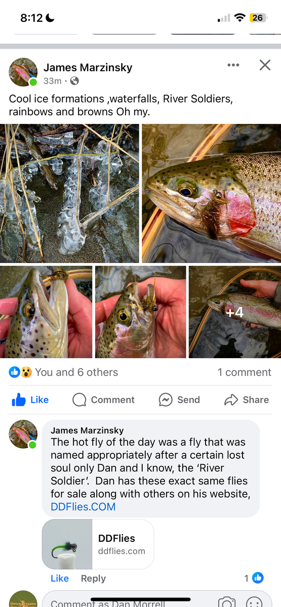 MORE & MORE Big Trout taking the river soldiers without hesitation ...